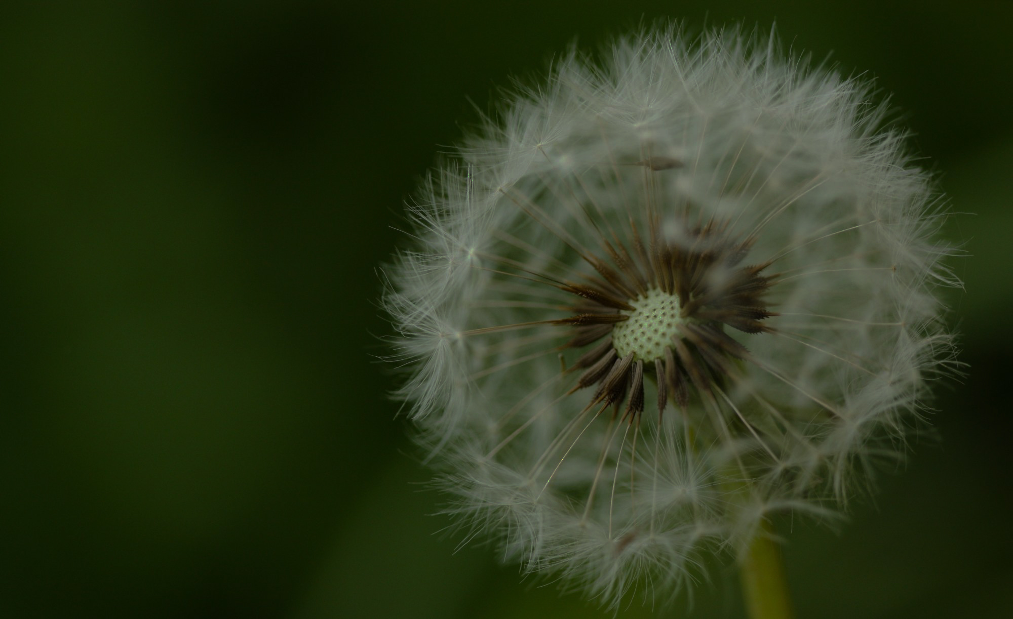 Prestations - SOVEAMIANT, Désamiantage partout en France